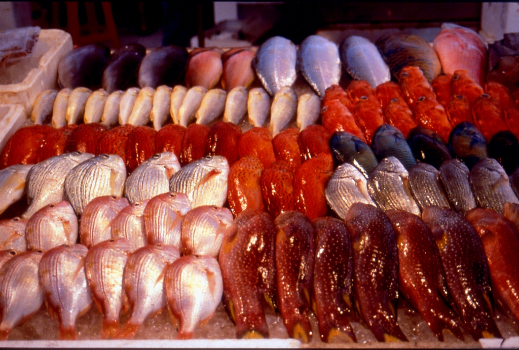 Travel in Taiwan > Attractions > Hot Spots > Bisha Fishing Port Tourism ...