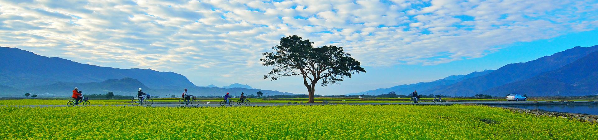 Travel Suggestions > Special Interests > LOHAS > LOHAS > Tourism Bureau ...