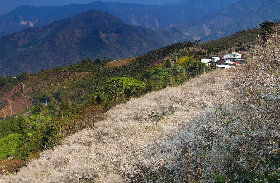 Feng Gui Dou > Scenic Spot Search > Tourism Administration, Republic of ...