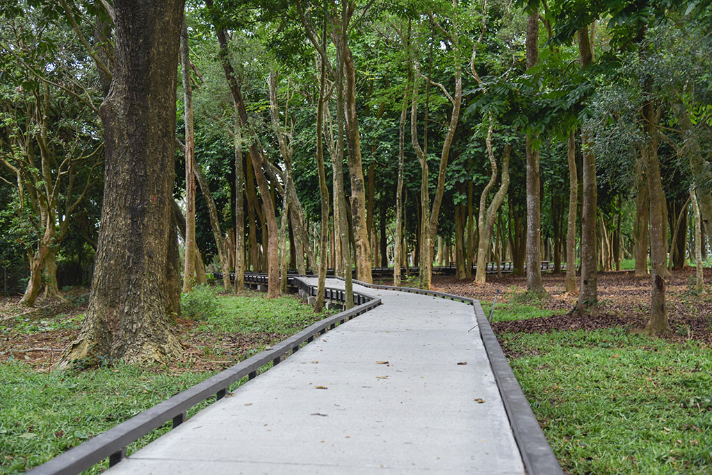 Maolin National Scenic Area - Xinwei Visitor Center > Kaohsiung City ...