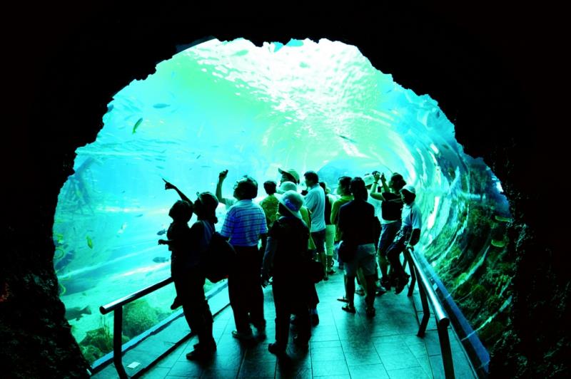 National Museum of Marine Biology and Aquarium > Pingtung County ...