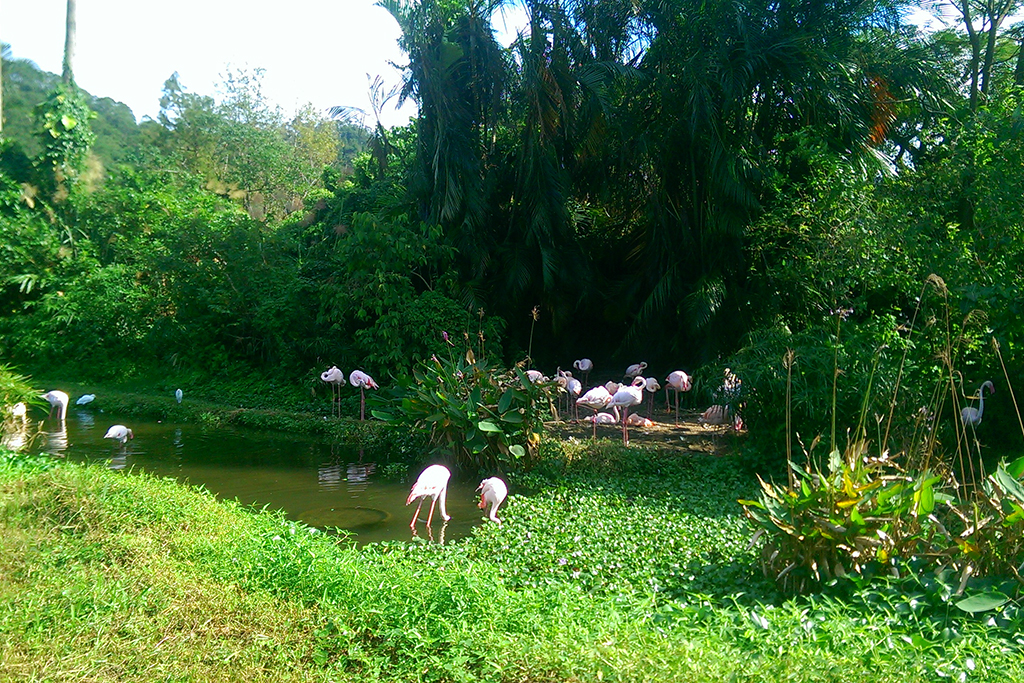 Taipei Zoo > Taipei City > Tourism Administration, Republic of China ...