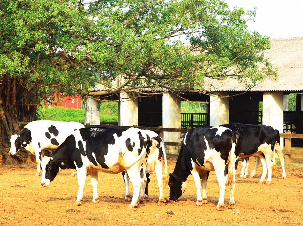 Pushin Ranch > Taoyuan City > Tourism Administration, Republic of China ...