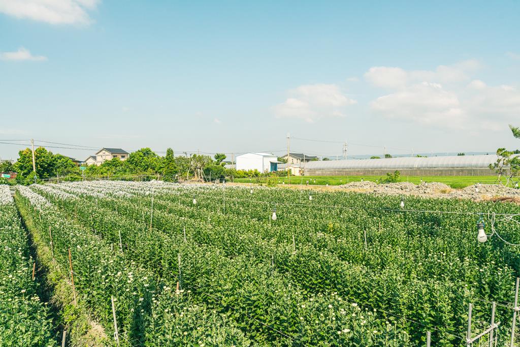 Tianwei Highway Garden > Scenic Spot Search > Tourism Administration ...