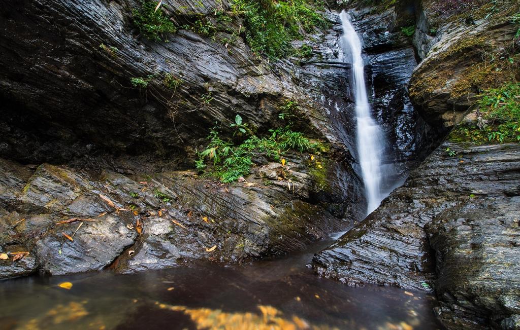 Maolin National Scenic Area - Rinari Visitor Center > Scenic Spot ...