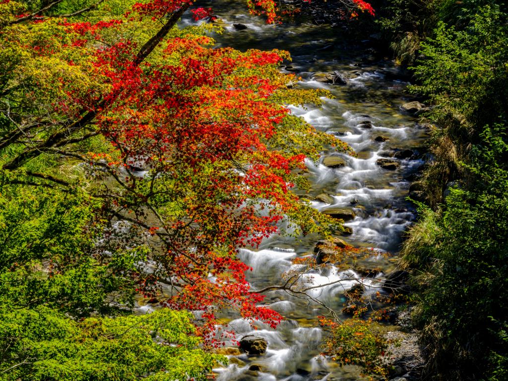 Wuling Farm > Taichung City > Tourism Administration, Republic of China ...