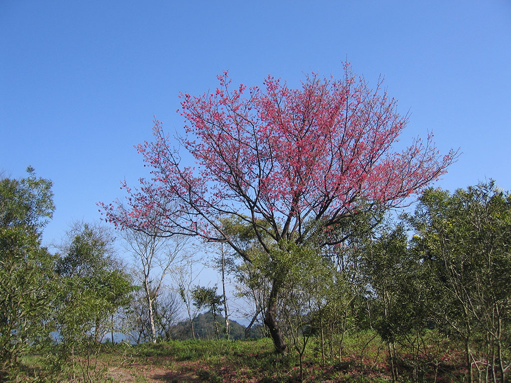 Mautu Discovery Forest > Hsinchu County > Tourism Administration ...