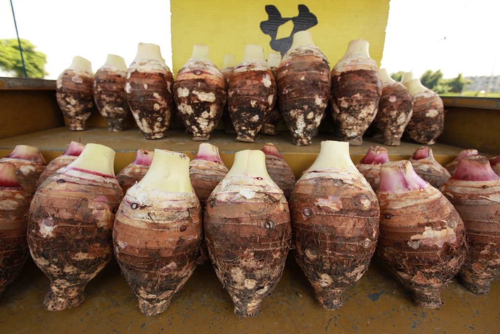 Dajia District, Taichung City: Mazu Culture > Taichung City > Tourism ...