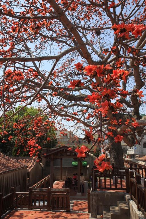 Jincheng Township, Kinmen County: Old World Charm in Houpu > Kinmen ...