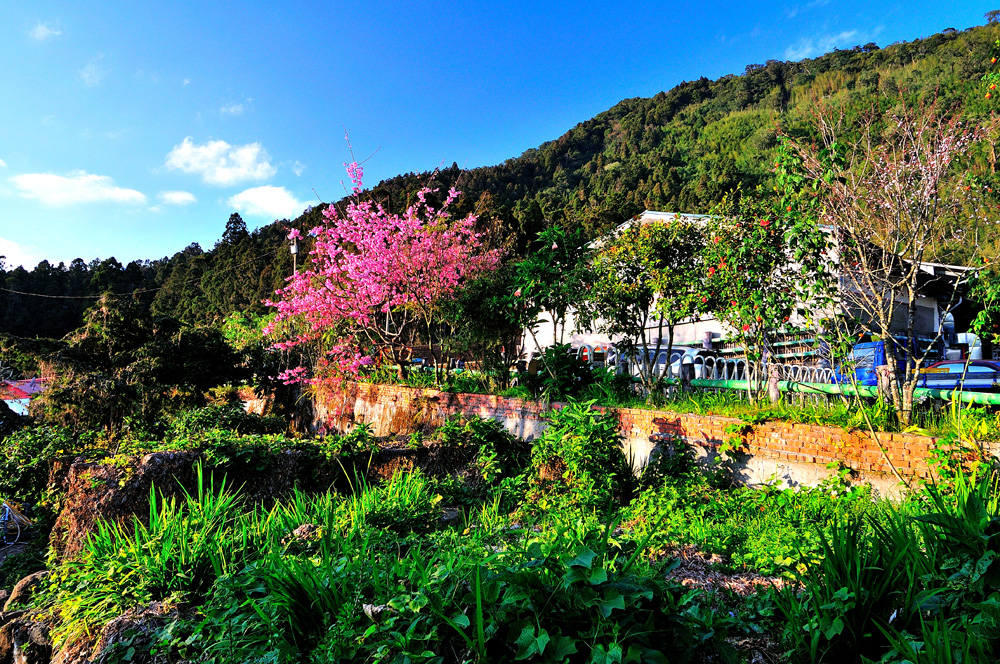 Dinghu Eco Park > Scenic Spot Search > Tourism Administration, Republic ...