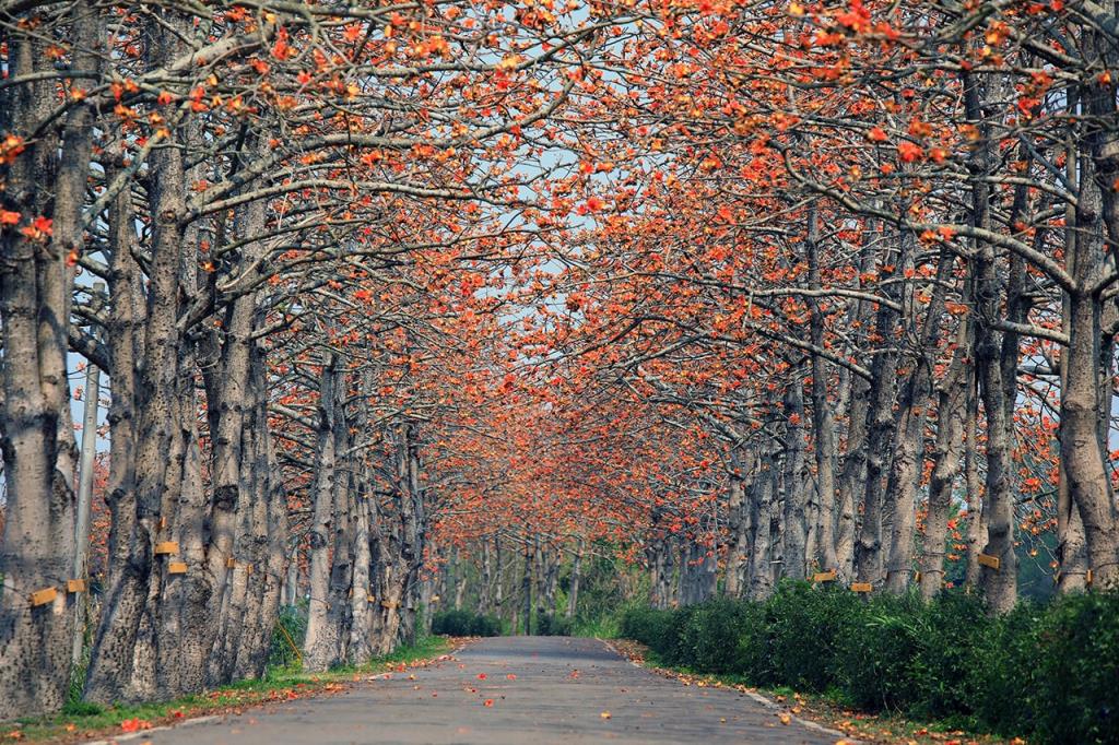 Erlin Township > Scenic Spot Search > Tourism Administration, Republic ...