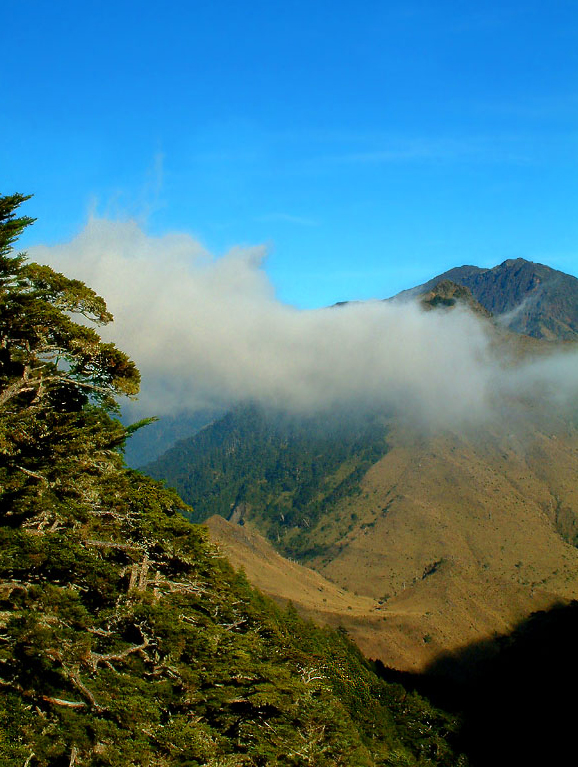 Batongguan Historic Trail > Nantou County > Tourism Administration ...